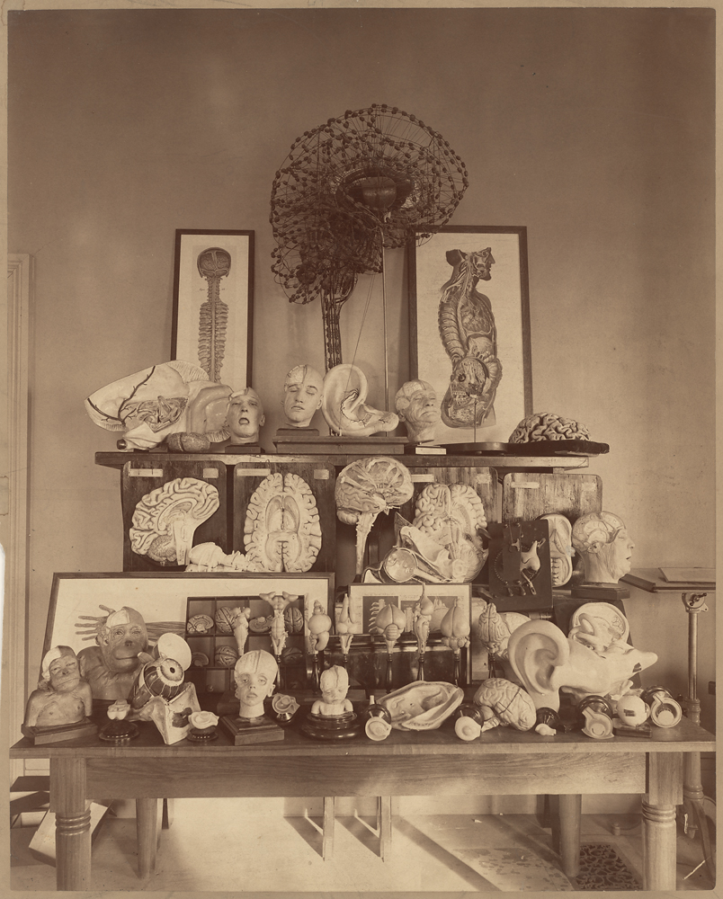 Bauhaus-Universität Weimar: Medien und Organe. Konfigurationen des ...